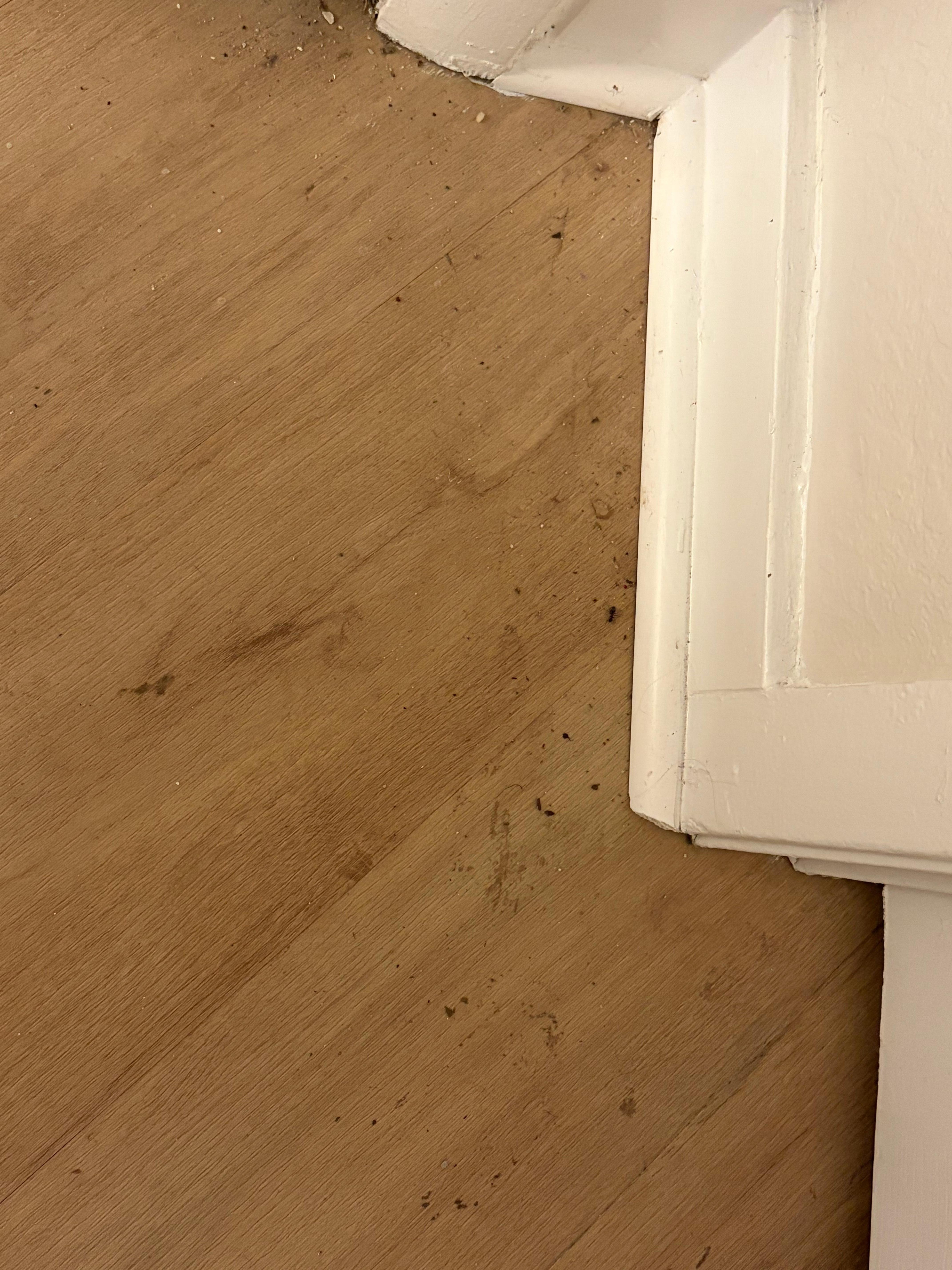Gross floor