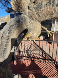 400.lb bronze eagle statue