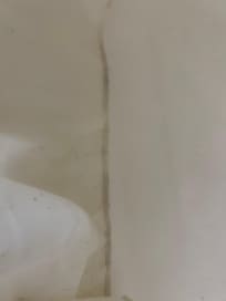 Dirty shower curtain