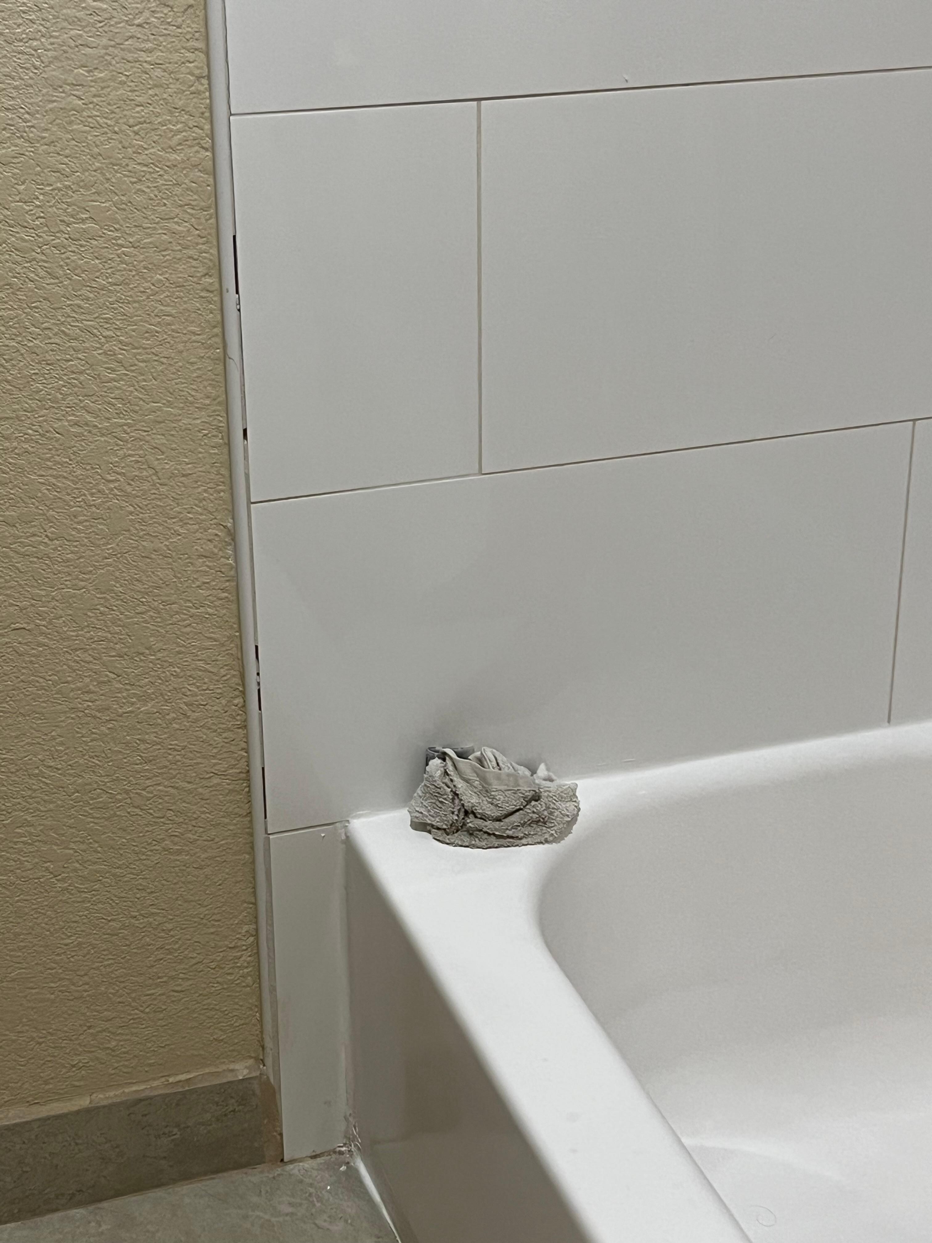 Dirty washcloth left on tub
