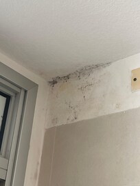 Mofo na mini cozinha