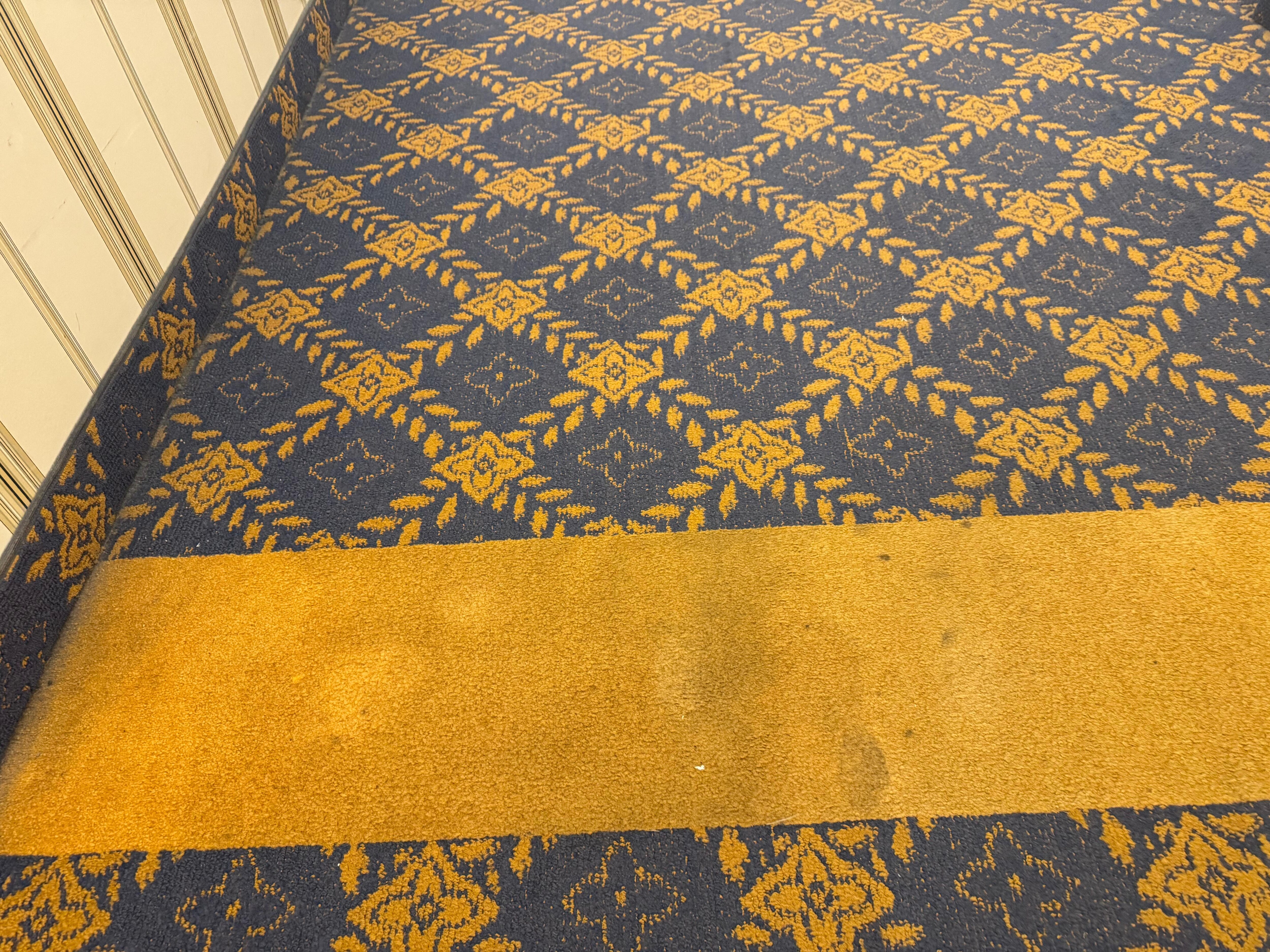 Dirty old stained carpet on hallway 