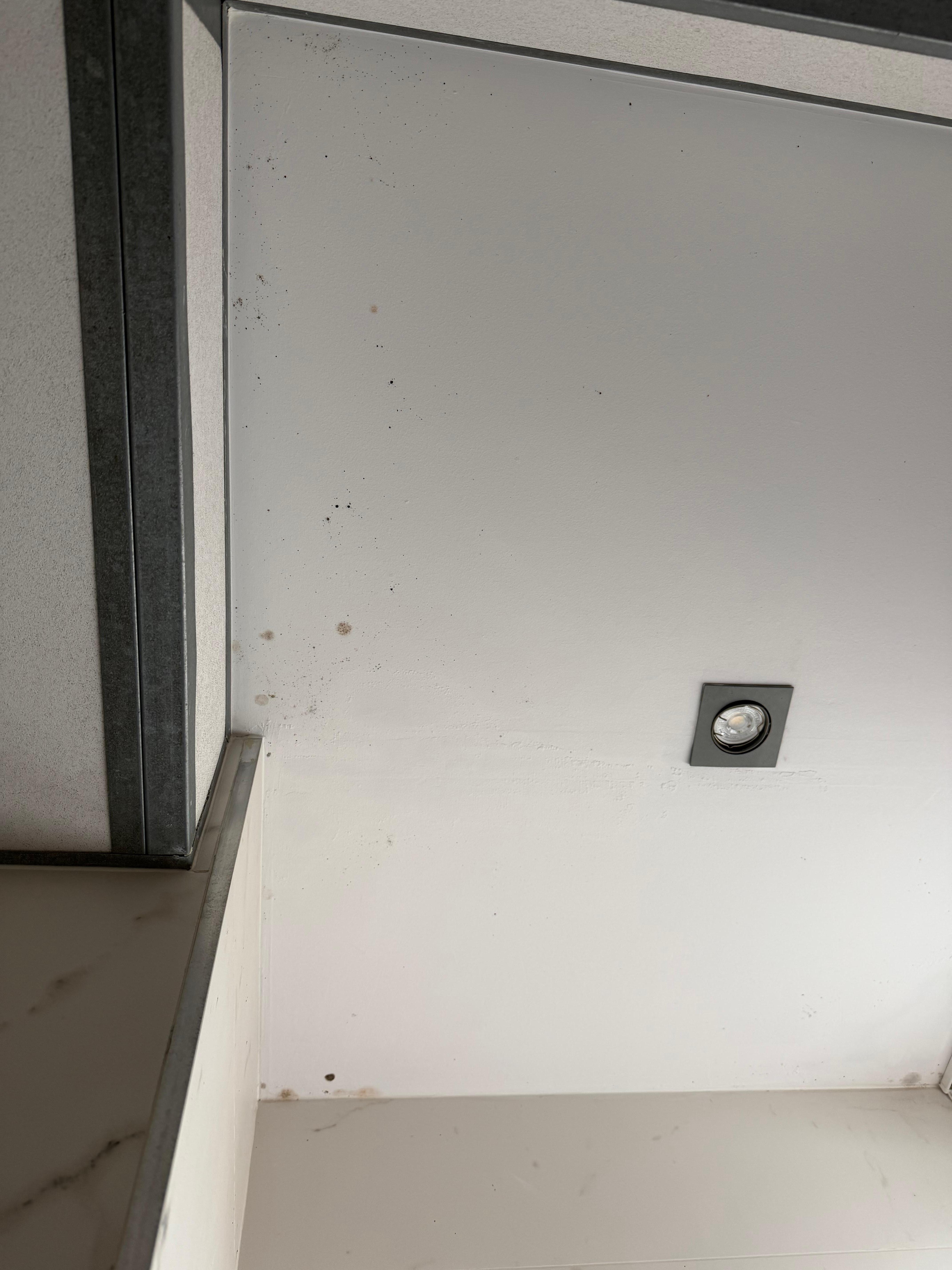 The mould that is visable on the ceiling, however the mould smell that is not visable is omnipresent in the hotel. So they can paint this over to mask it but they have a serious mould problem. 