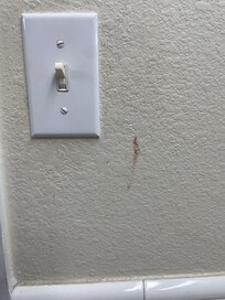 Blood on the wall in the bathroom.