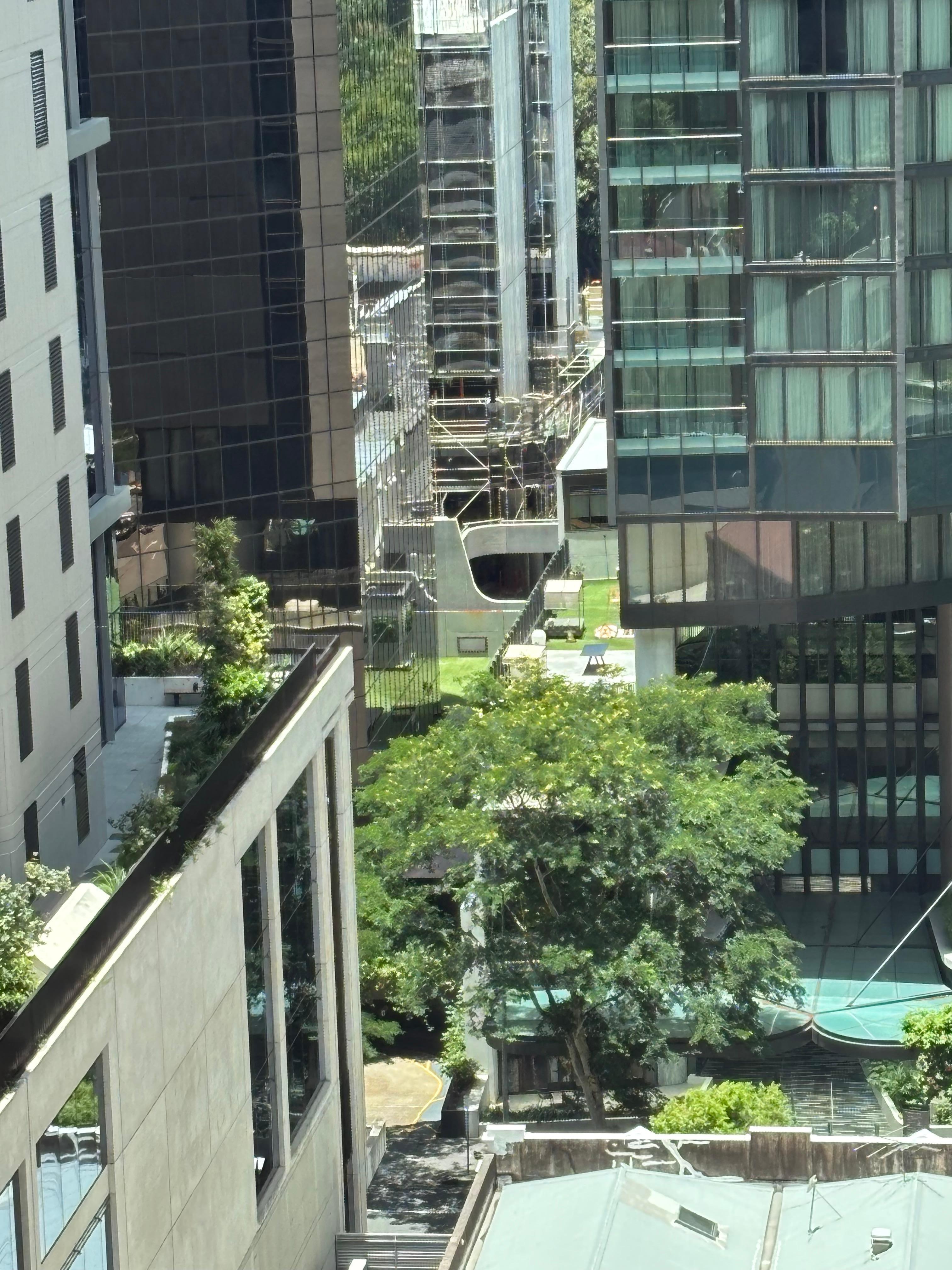 Utsikt från hotellrummet