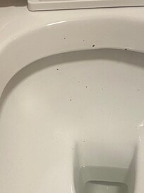 Dirty toilet