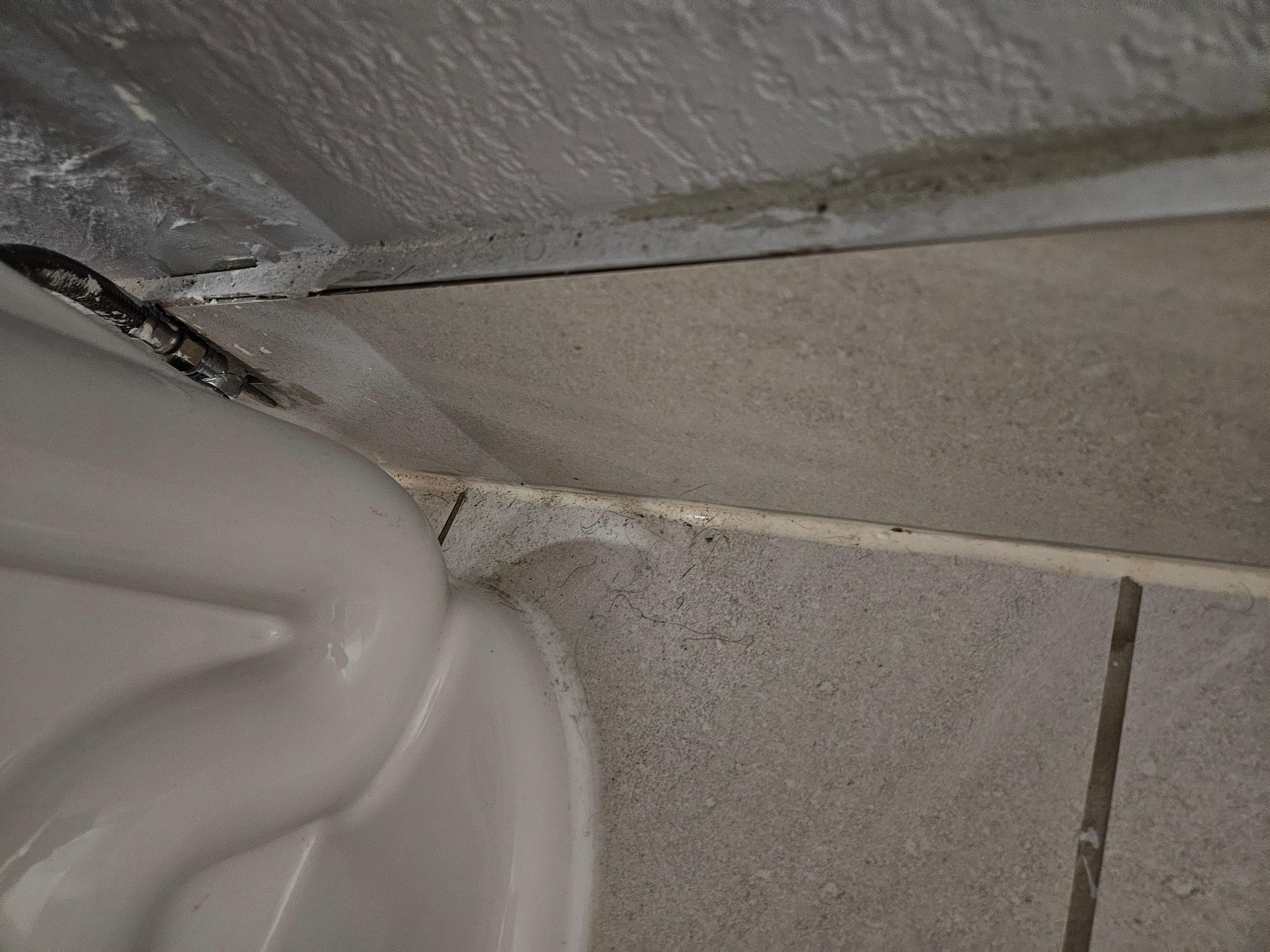 Dirt and hair built up around the toilet