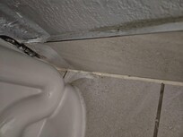 Dirt and hair built up around the toilet