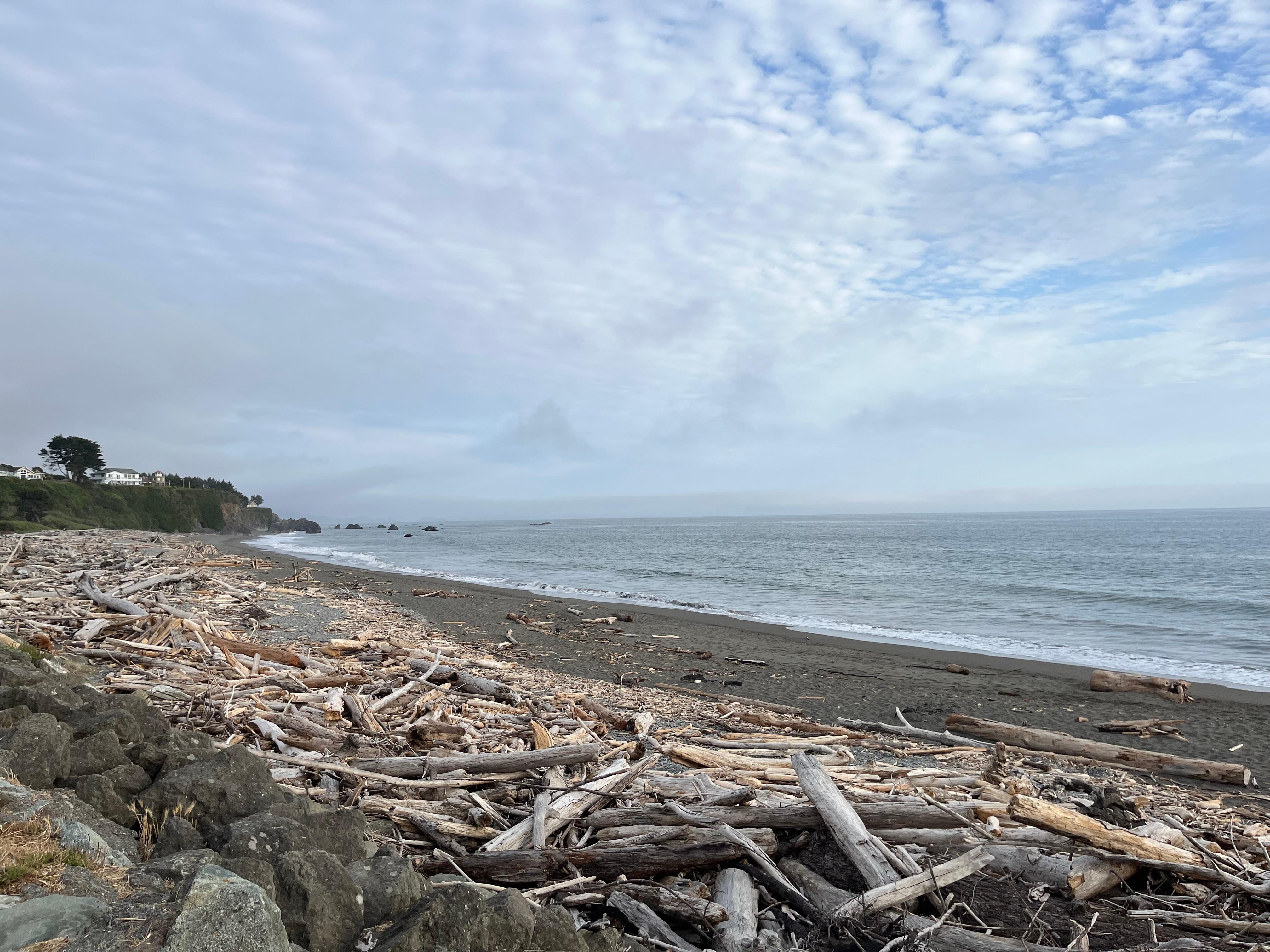 Harbor beach