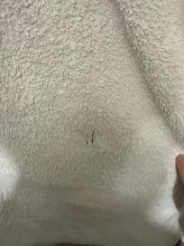 Toallas viejas, percudidas y hasta rotas.