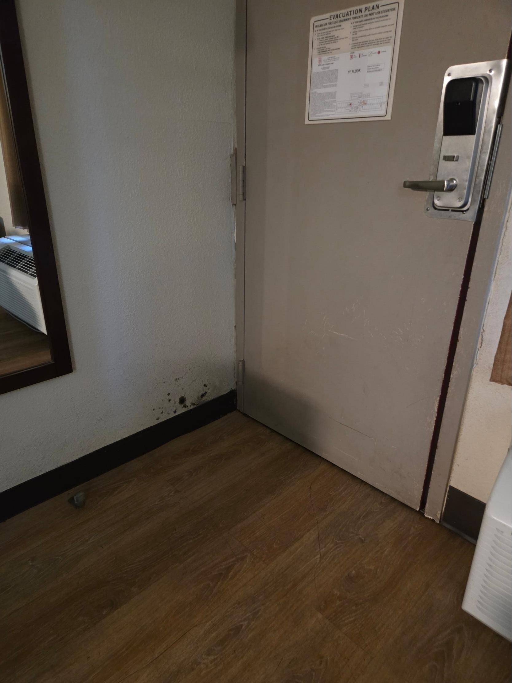 Mold