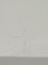 Hairs in bathtub