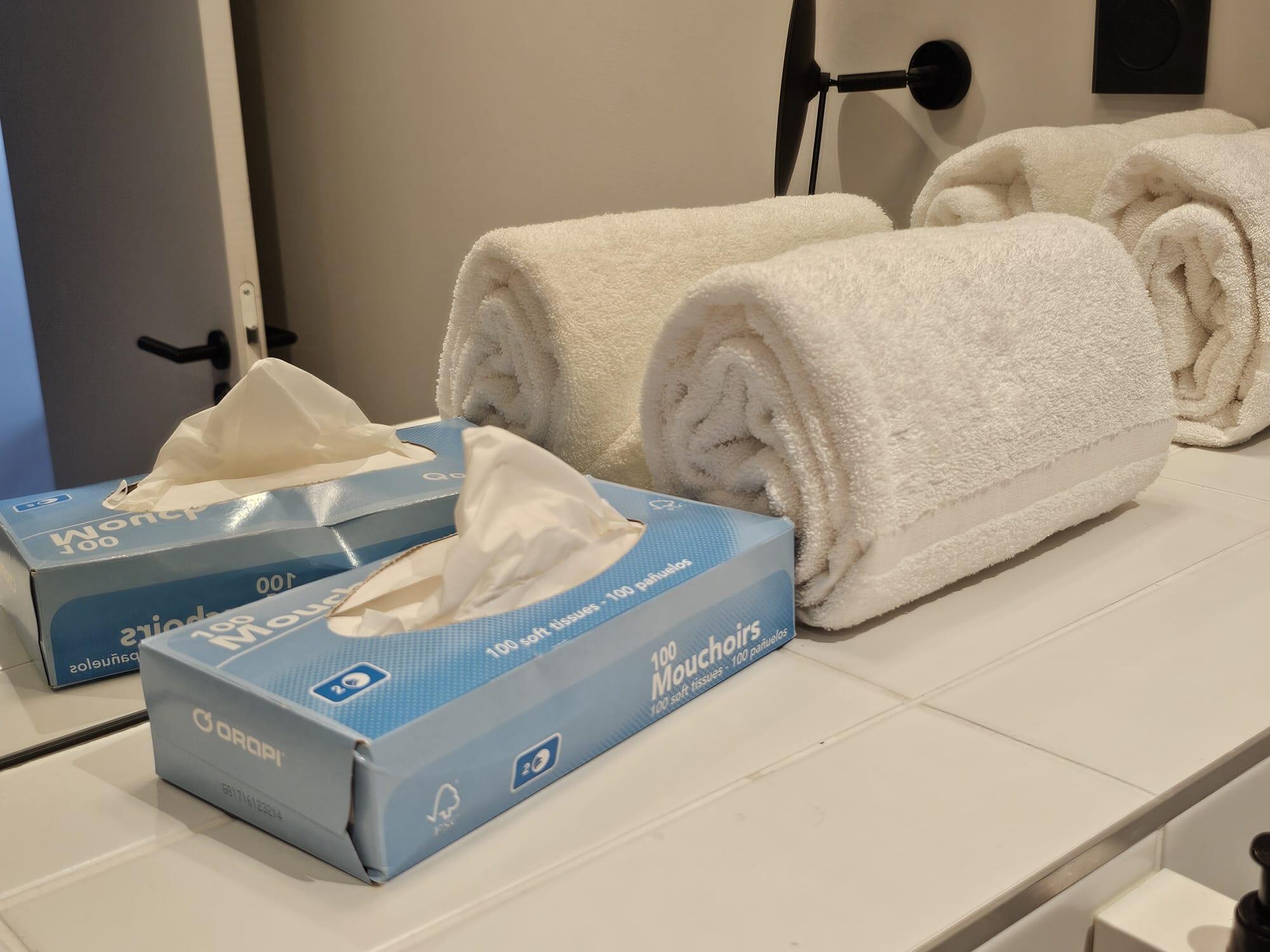 salle-de-bains pas de boite mouchoirs papiers