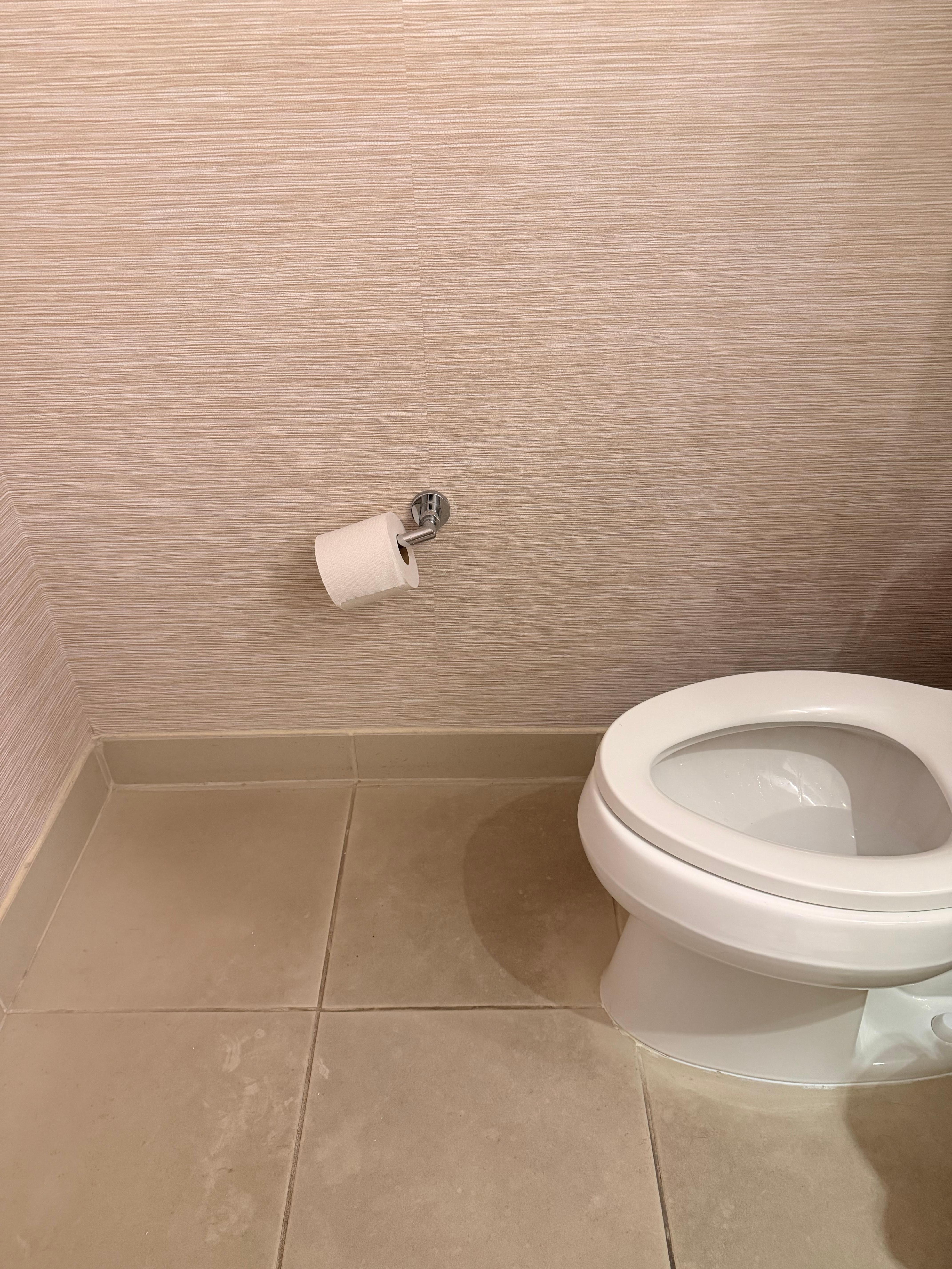 Toilet paper holder falling off wall