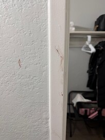 Blood on walls in bathroom and light switches