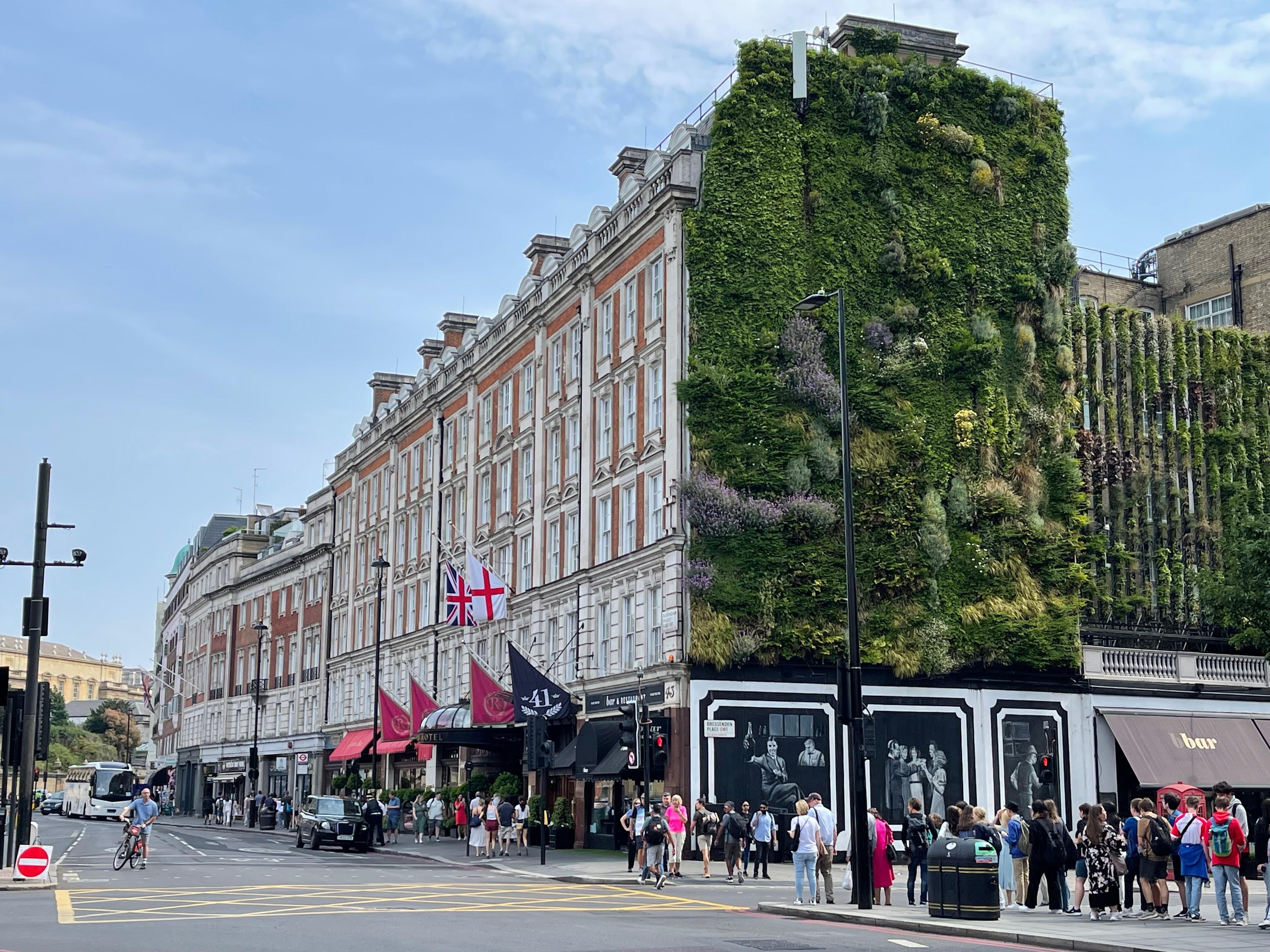 The Rubens at the Palace in London: Find Hotel Reviews, Rooms, and ...