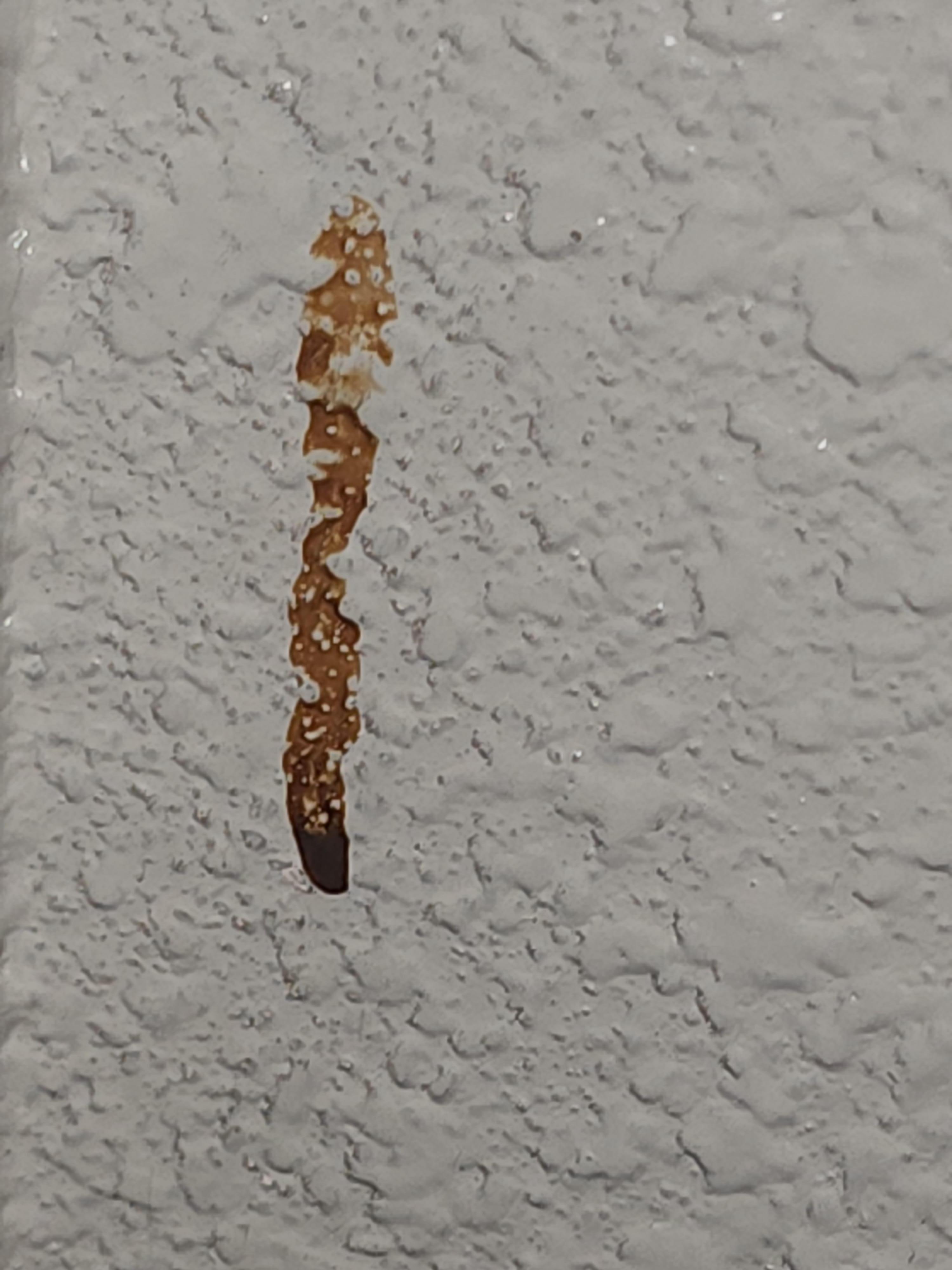 What appears to be blood dripped on a wall