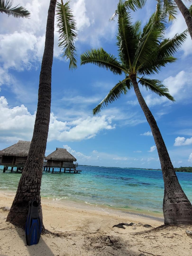 Maitai Polynesian Hotel Beach View
