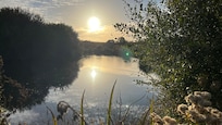 The pond at sunset