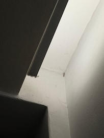 Mottenlarven, grobe Hygienemängel