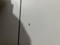 Roaches were everywhere even in the bed. We couldn’t sleep