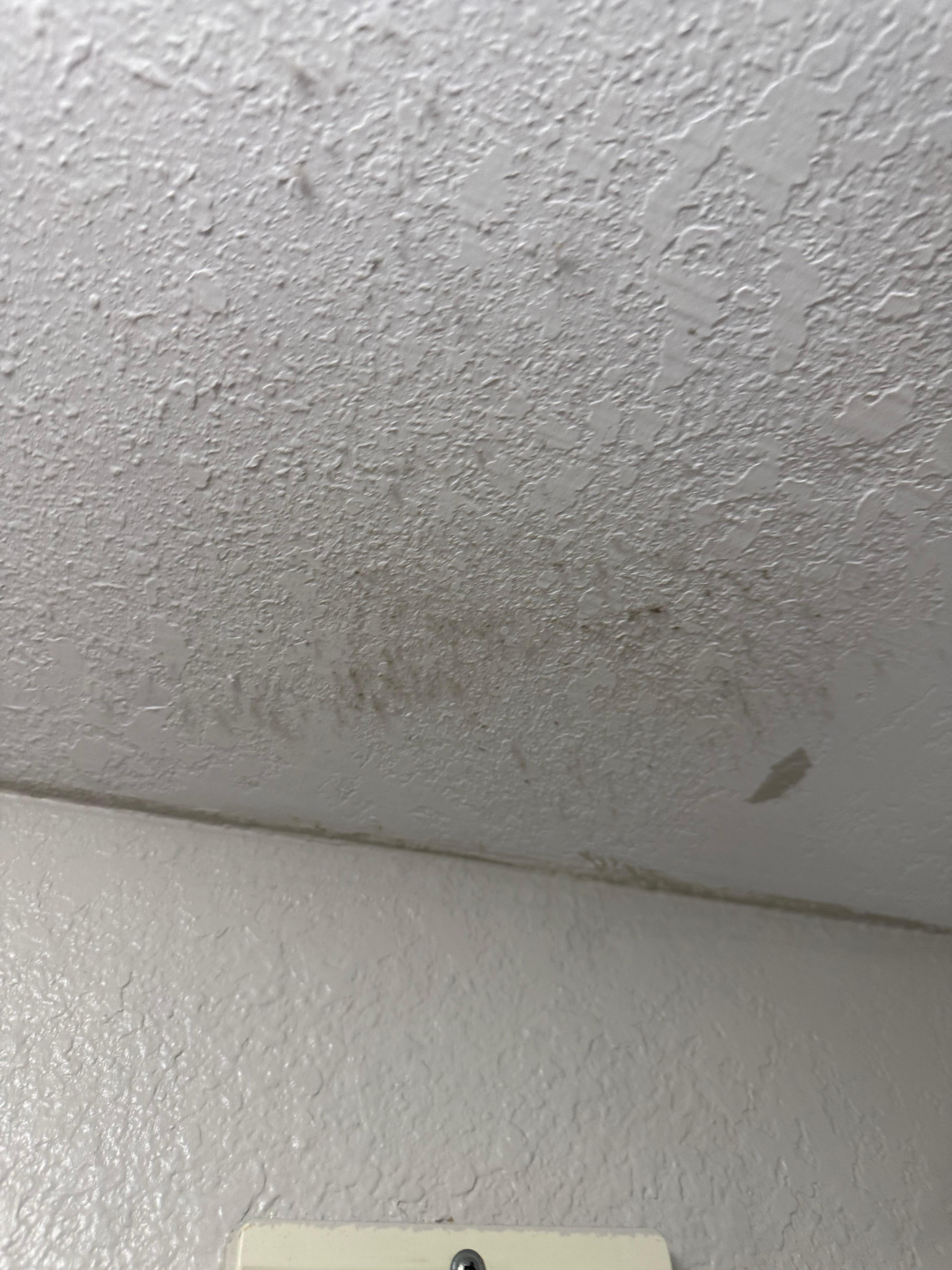 Dust along the ceiling. 