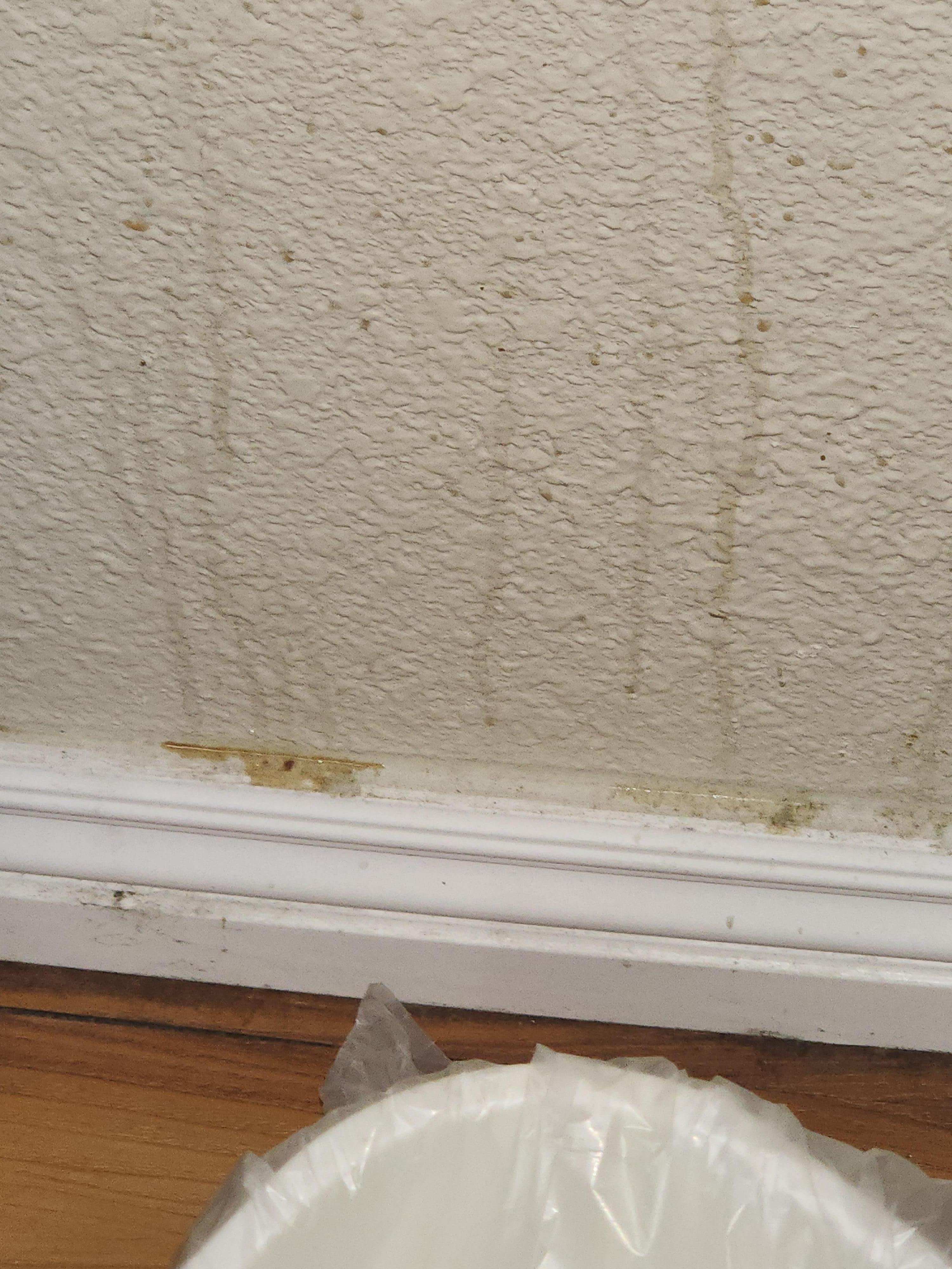 Disgusting, picture speaks for itself