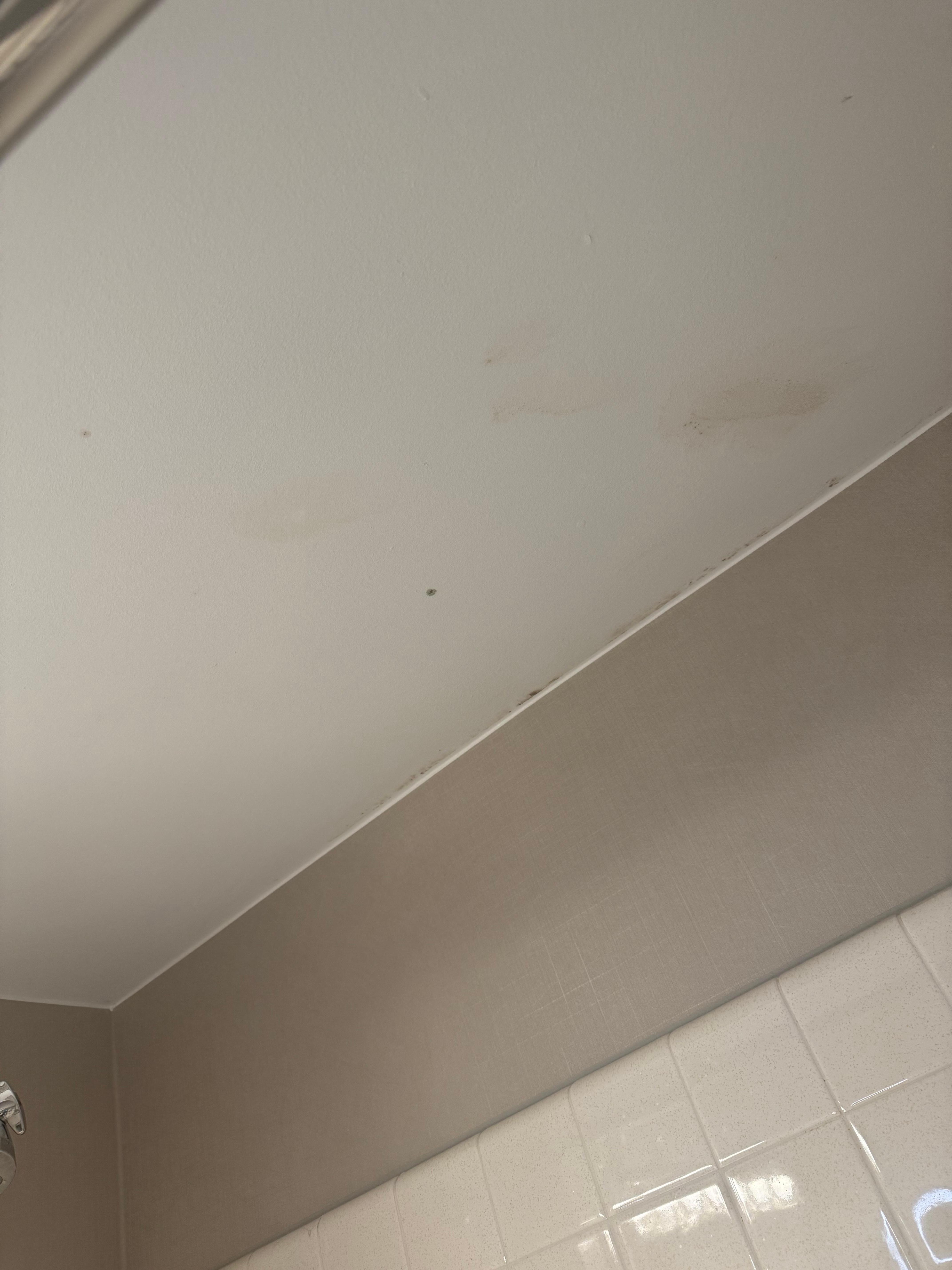 Mold in shower