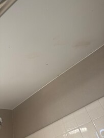 Mold in shower