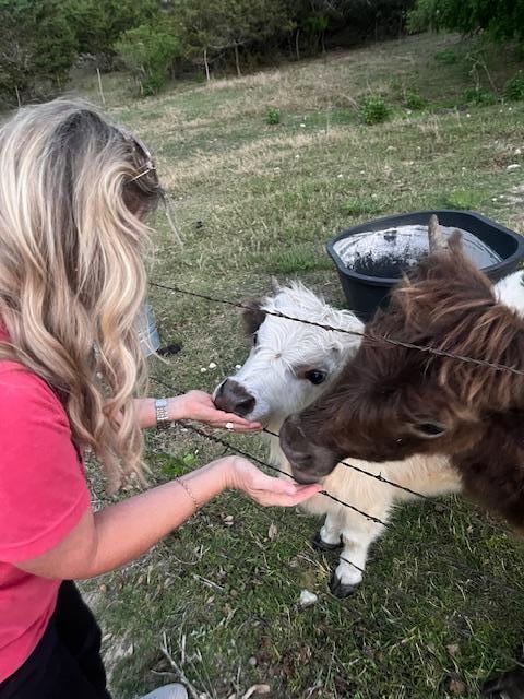 Gentle and loved the treats