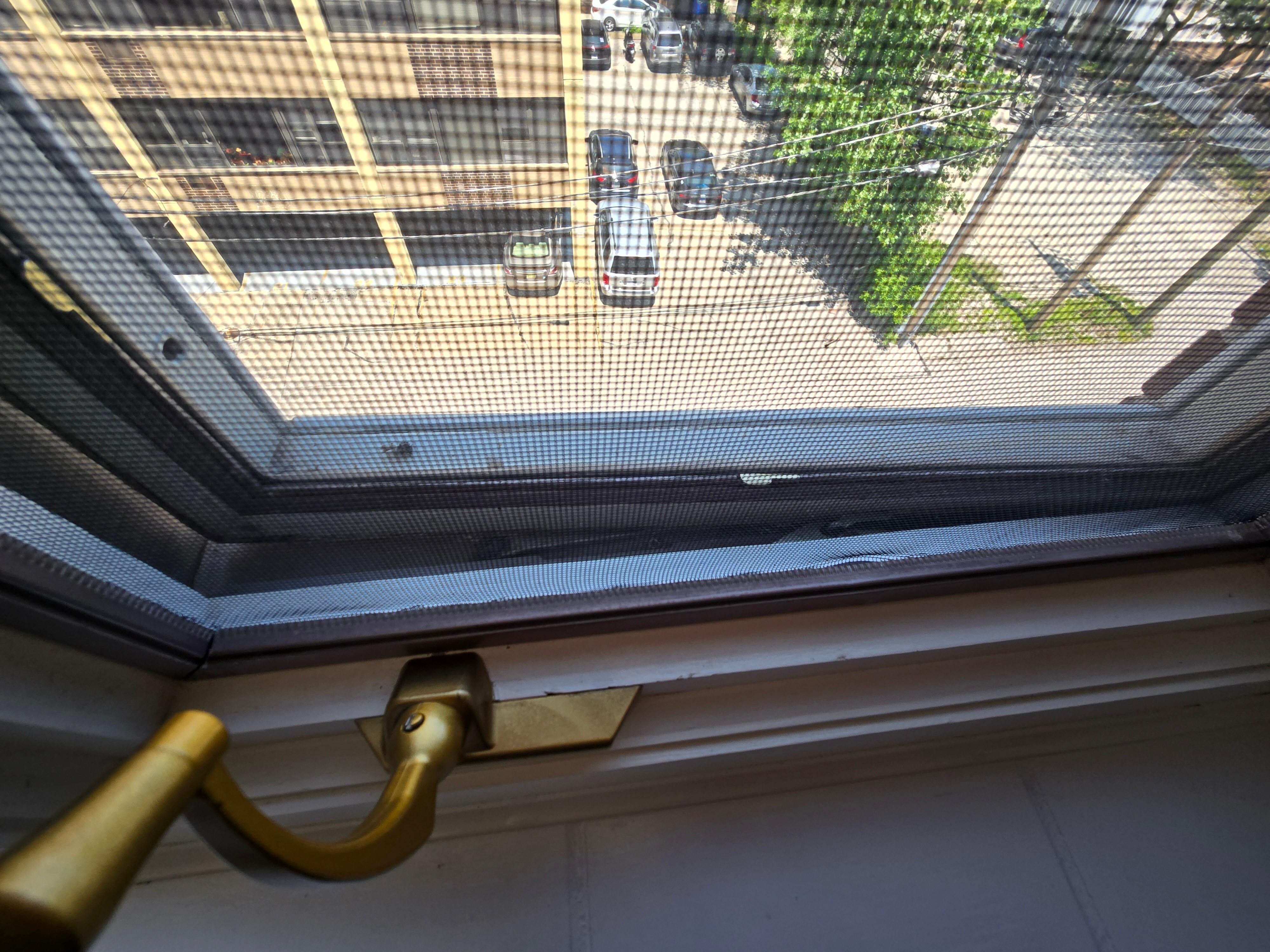 Dust and mold?