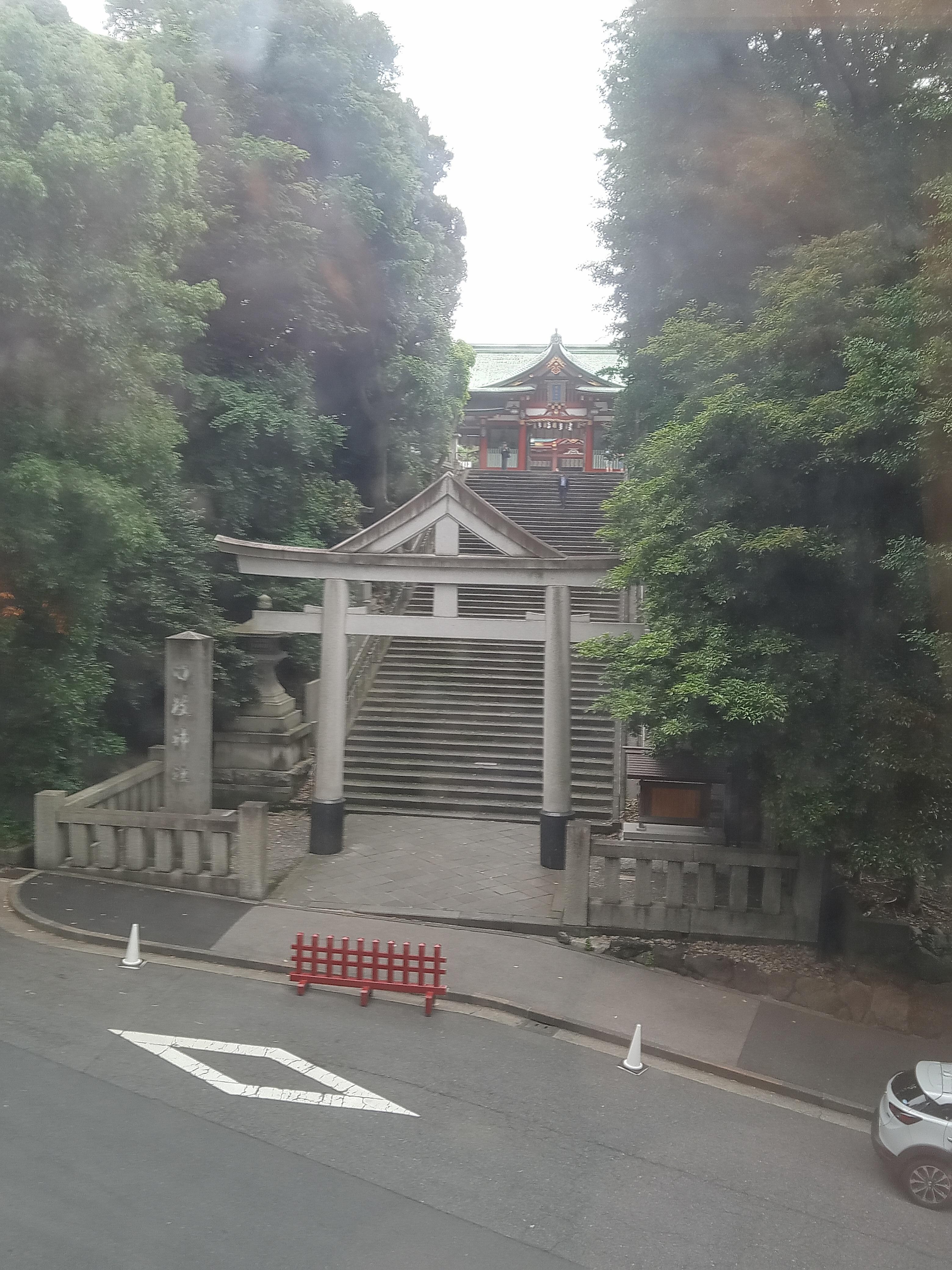Veiw from the bedroom window