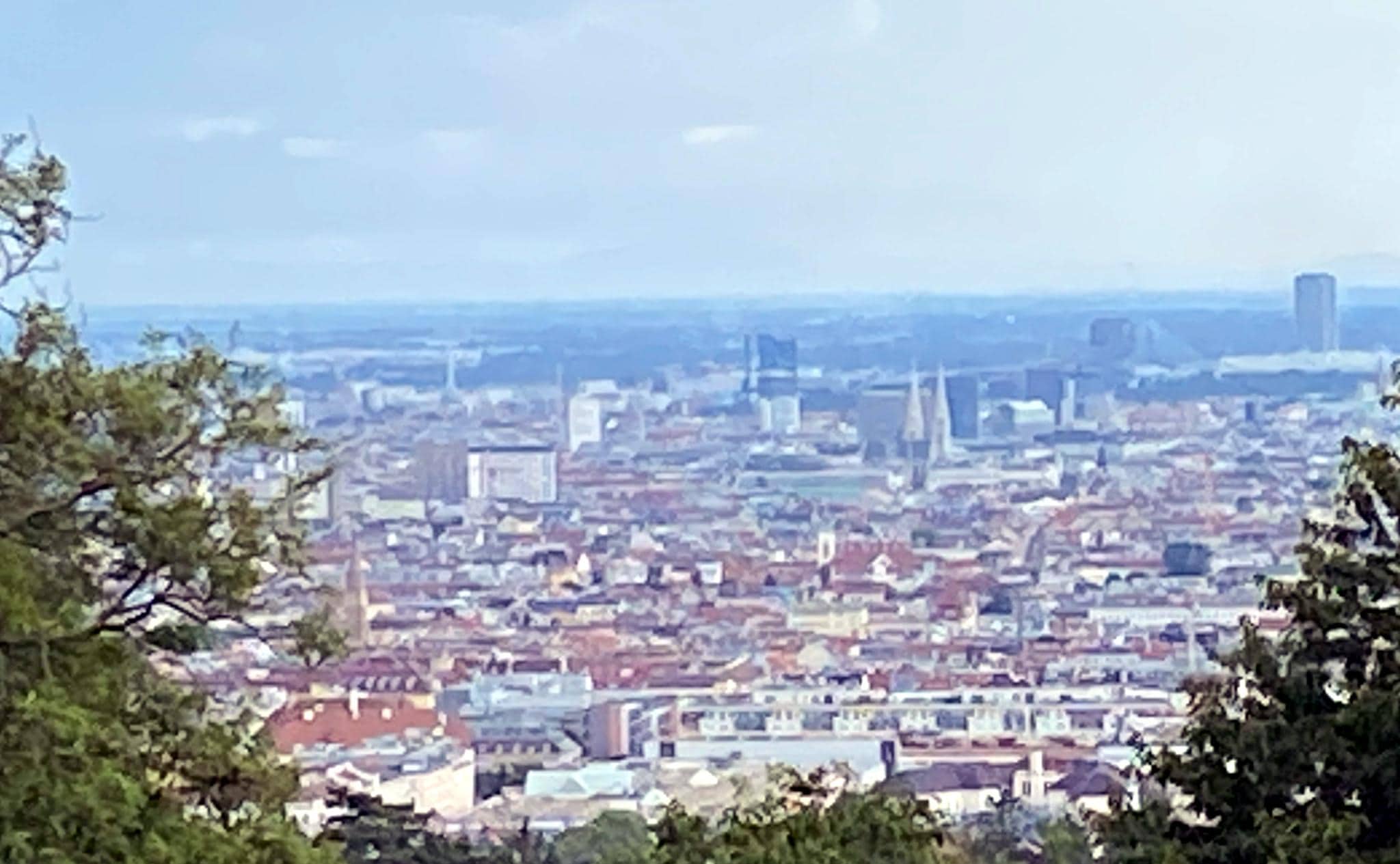 En bra utsikt från trädgården