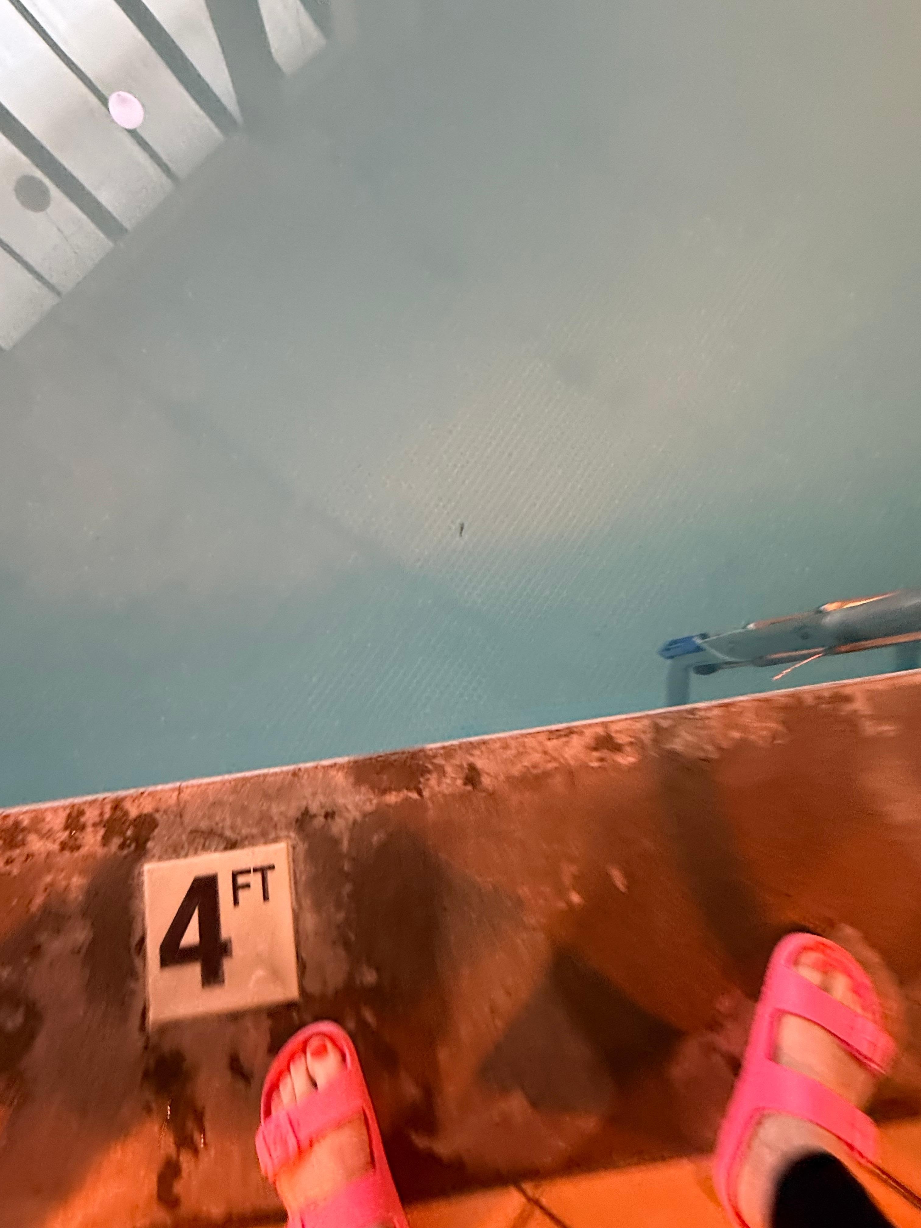 Chunks in the pool; all over the pool deck; filthy and grimey.