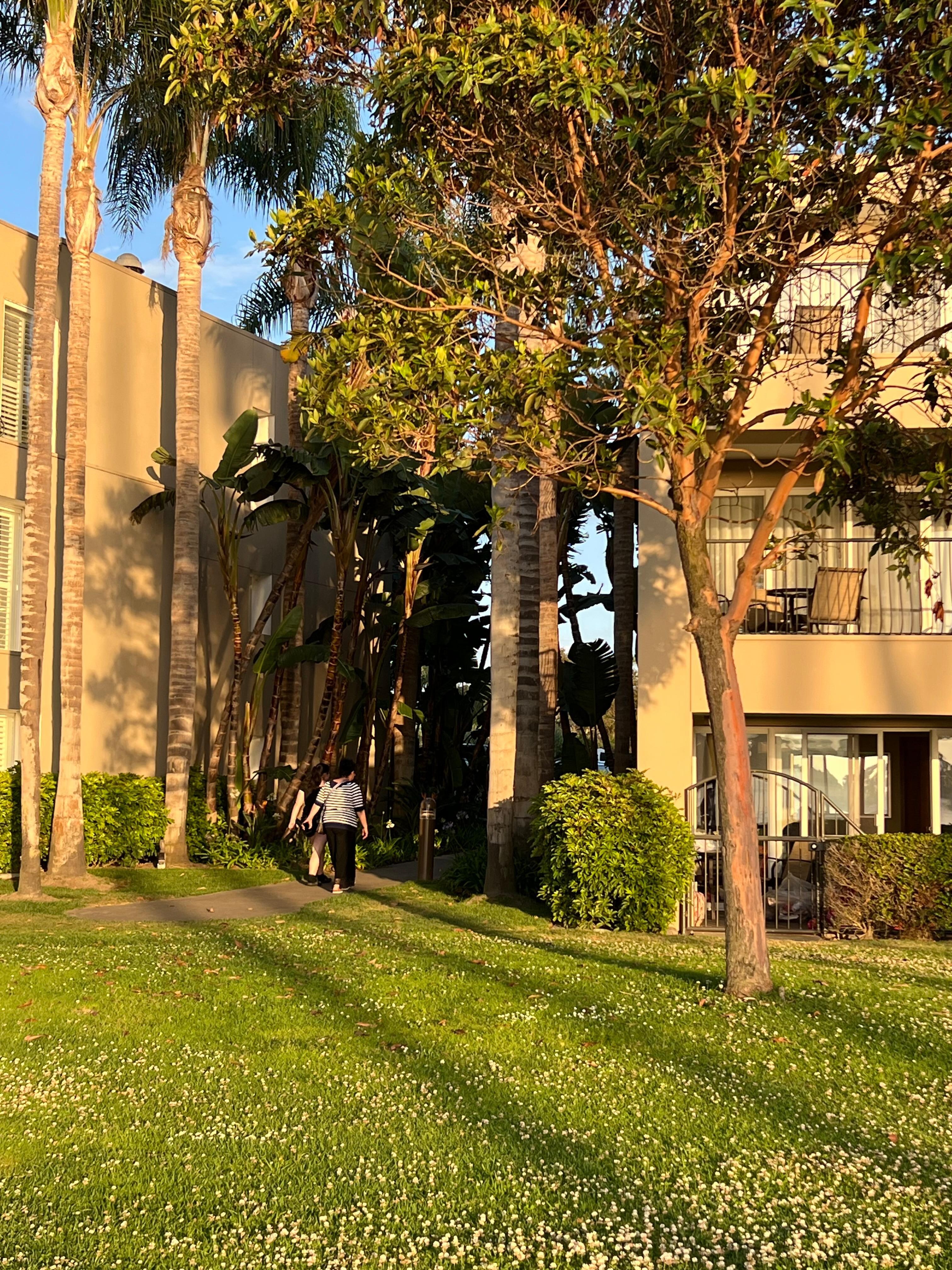 Balcony rooms