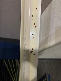 The inside of the trim, and the bugs that live there.