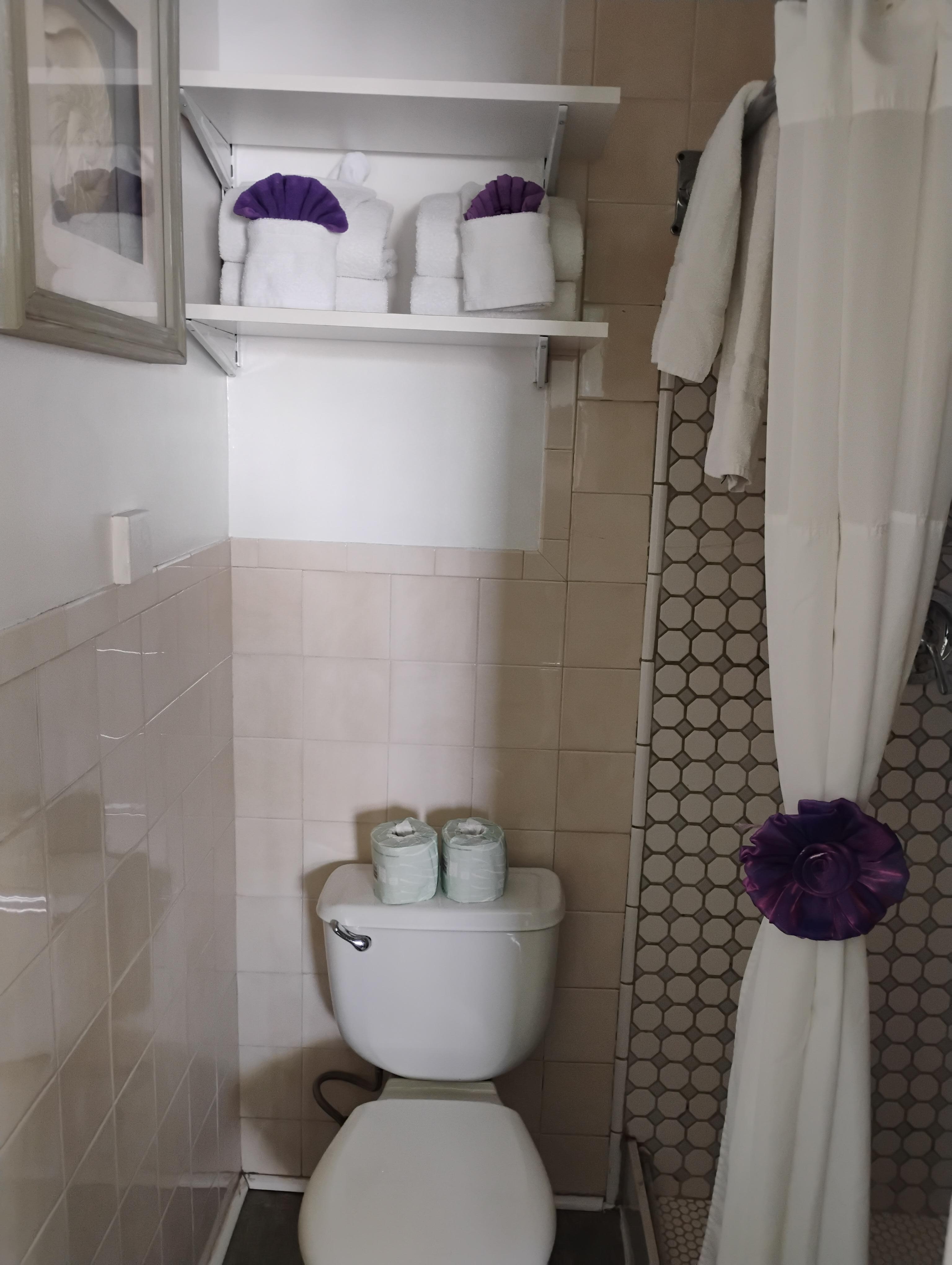 Small but efficient bathroom area. Shower area was small, but it worked just fine.