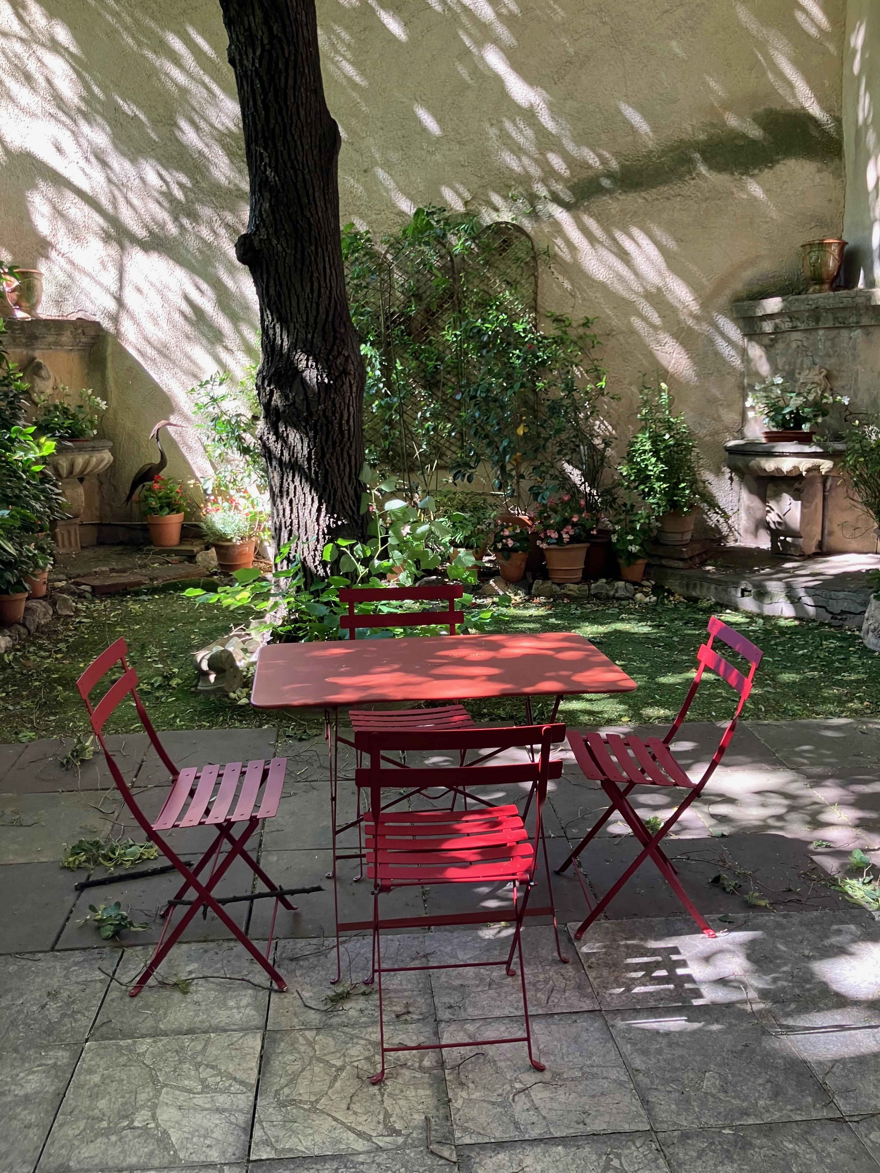 back garden