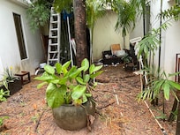 Jardin entre les chambres/bungalow