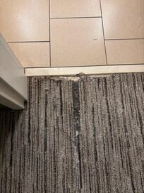 Shredded carpet
