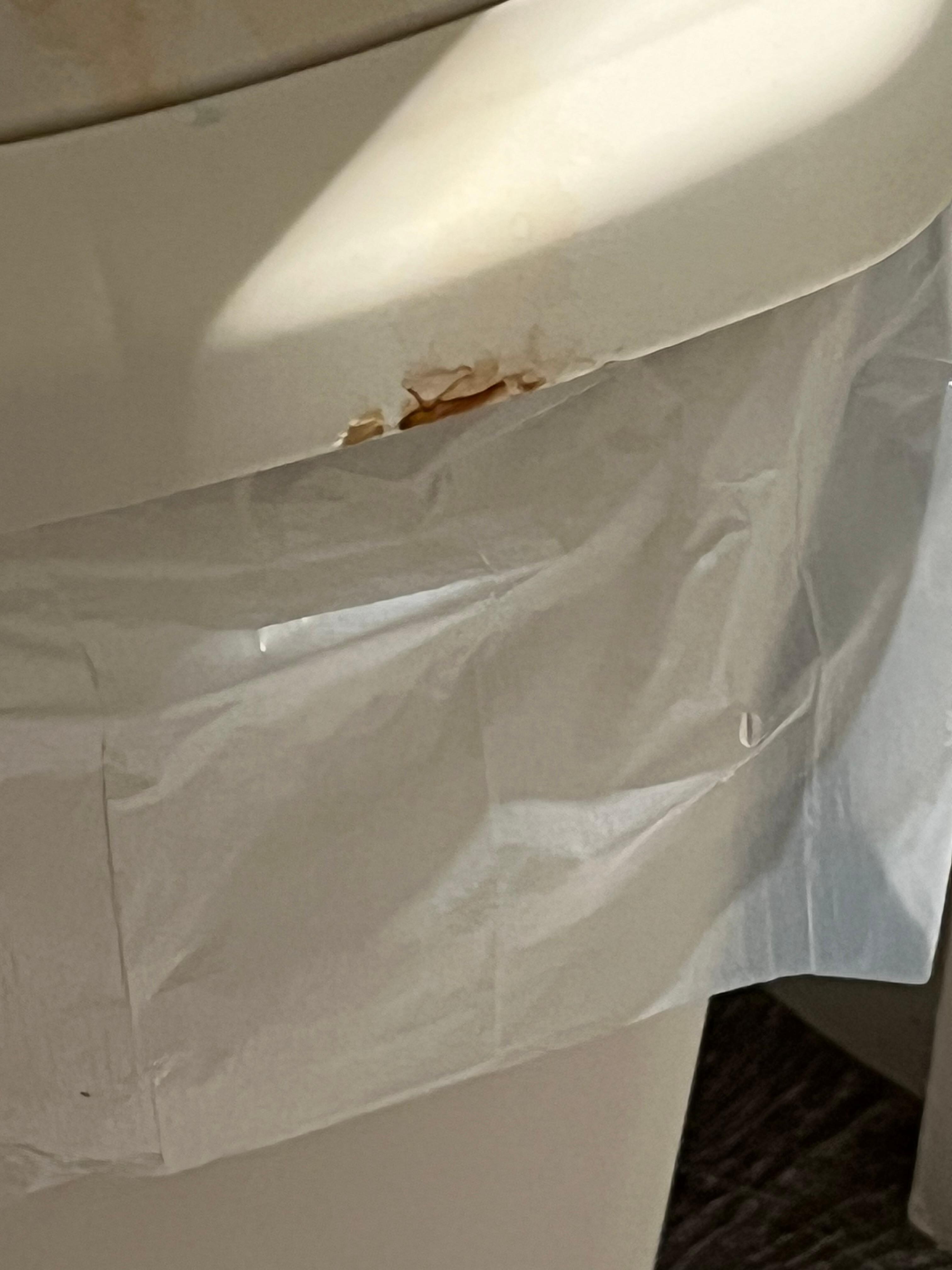 Blood on sanitary bins
