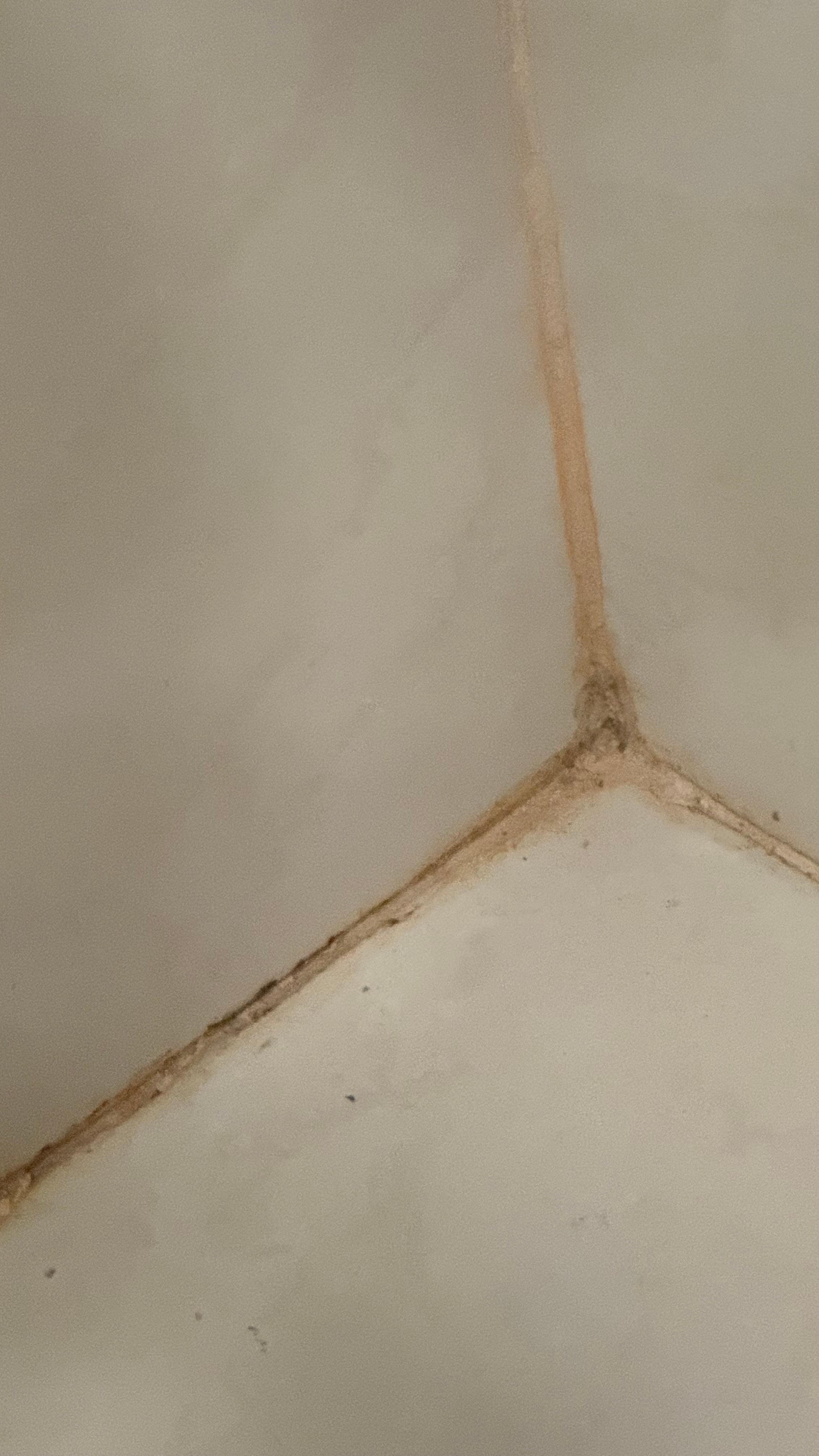 A limpeza do banheiro muito ruim.. veja canto do box… além disso não deixaram tapete para o chão do banheiro.. imagina tomar banho no inverno e não ter um mísero tapete para por o pé ao sair do box… pedi na recepção e só mandaram eu mesma ir buscar