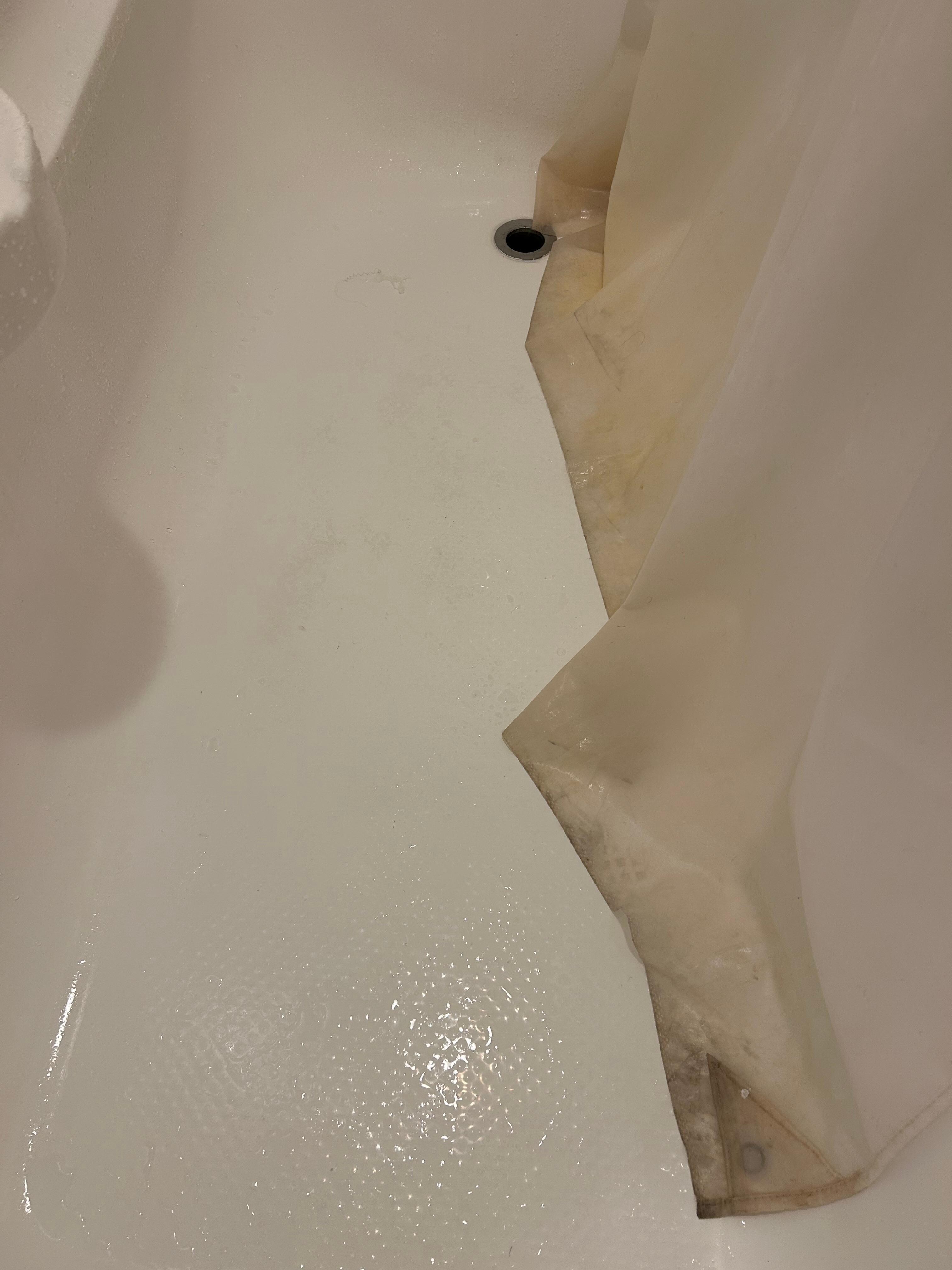 Cortina do box do chuveiro.