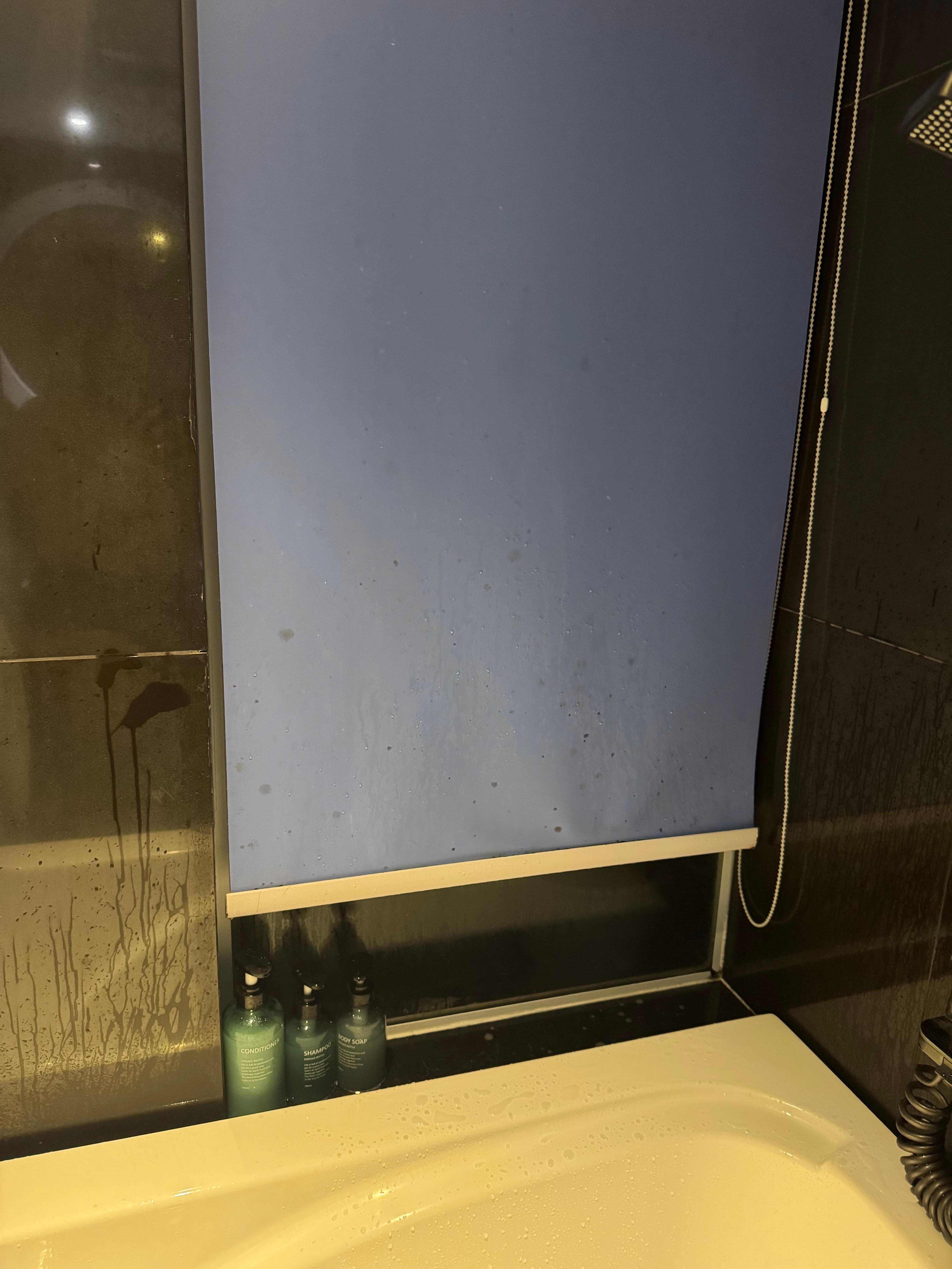 Mould on shower blind