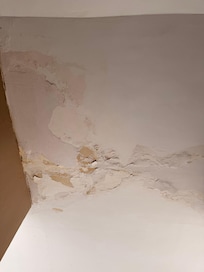 Lots of unsightly damp and weathering issues and generally poor upkeep and maintenance throughout the facility.