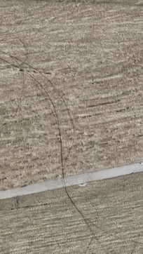 Mye hår i dusj hjørnet