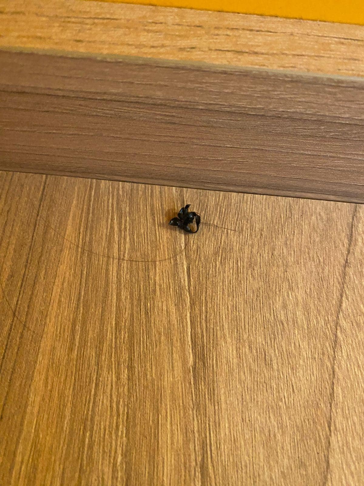 Borrachinhas com cabelos. 