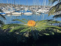 View from the front of the room