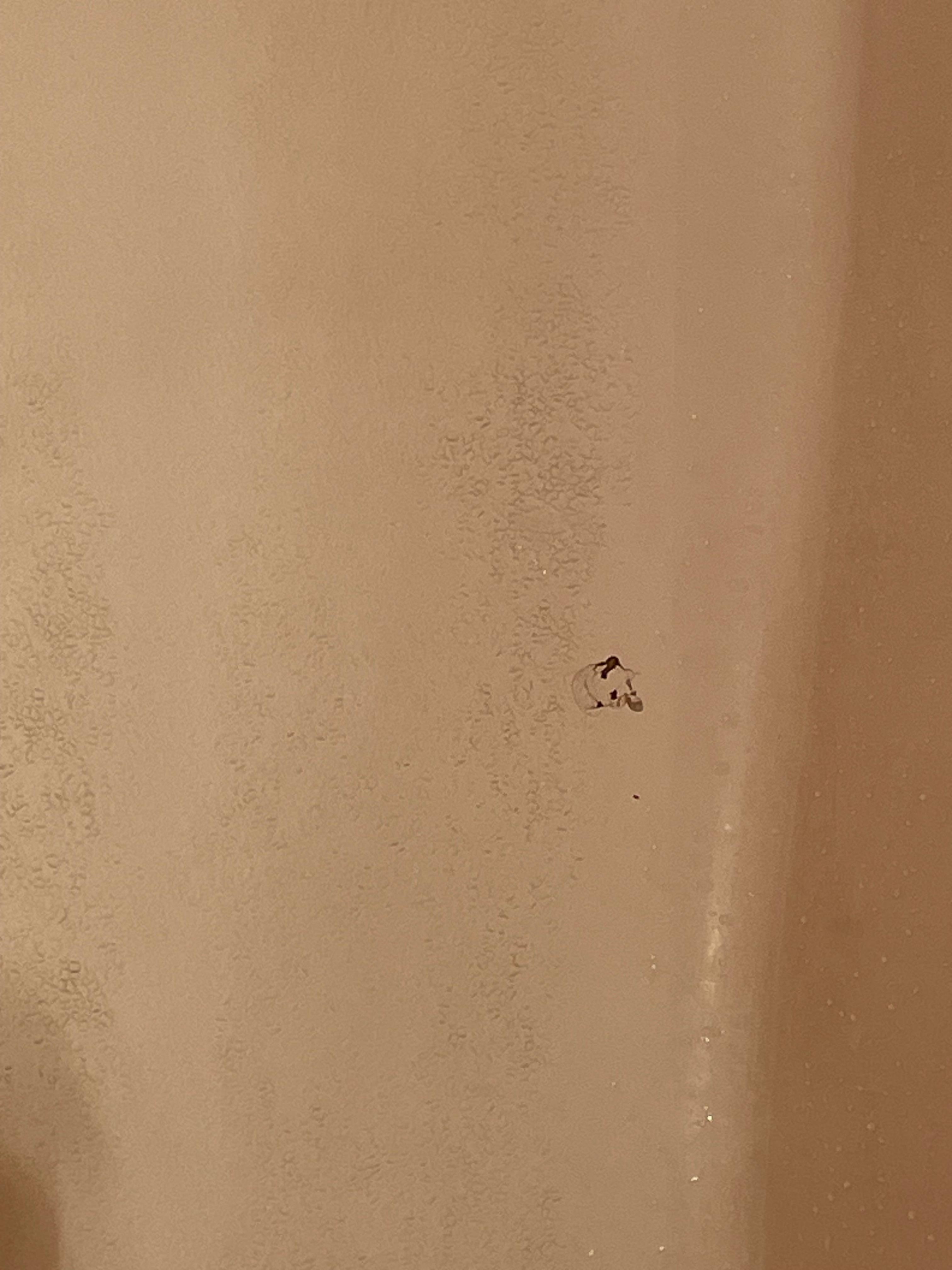 Hole in tub