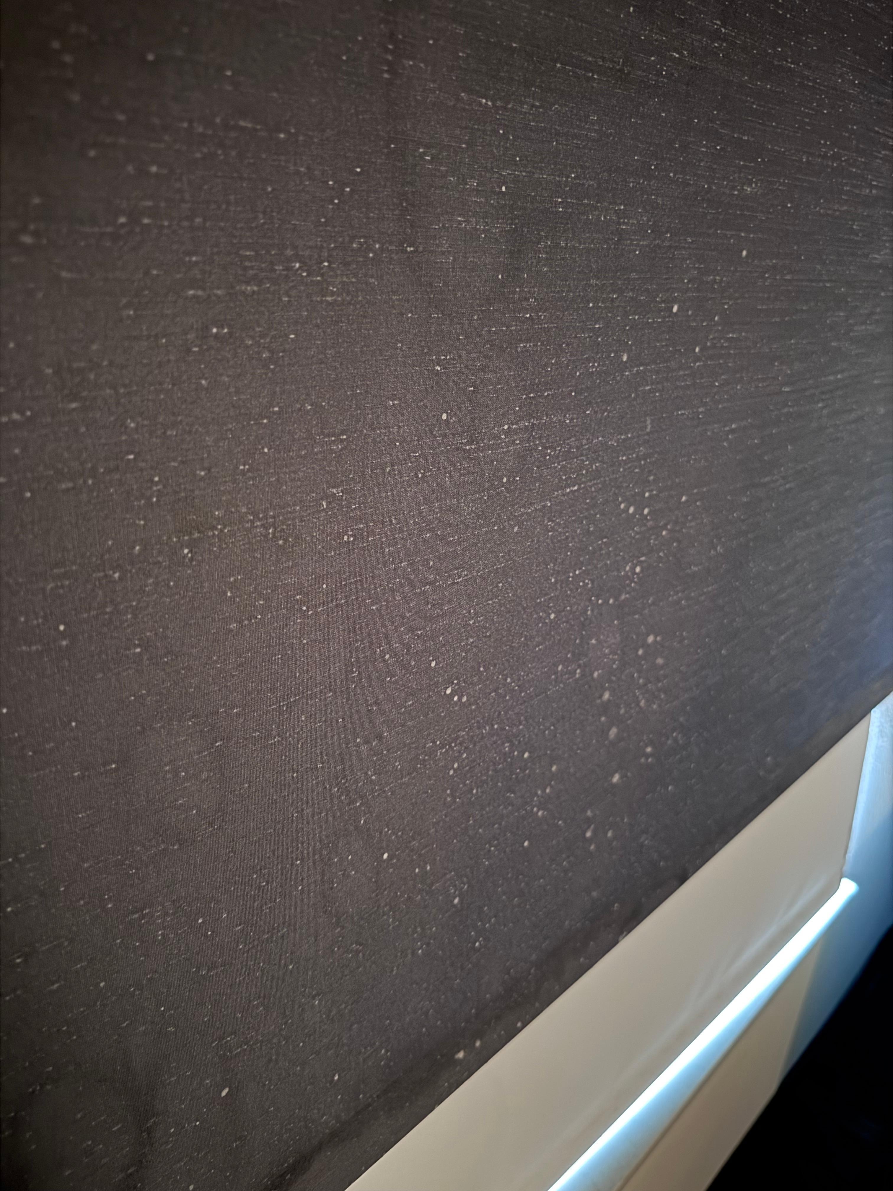 Bodily fluids sprayed all over the window shades and carpet